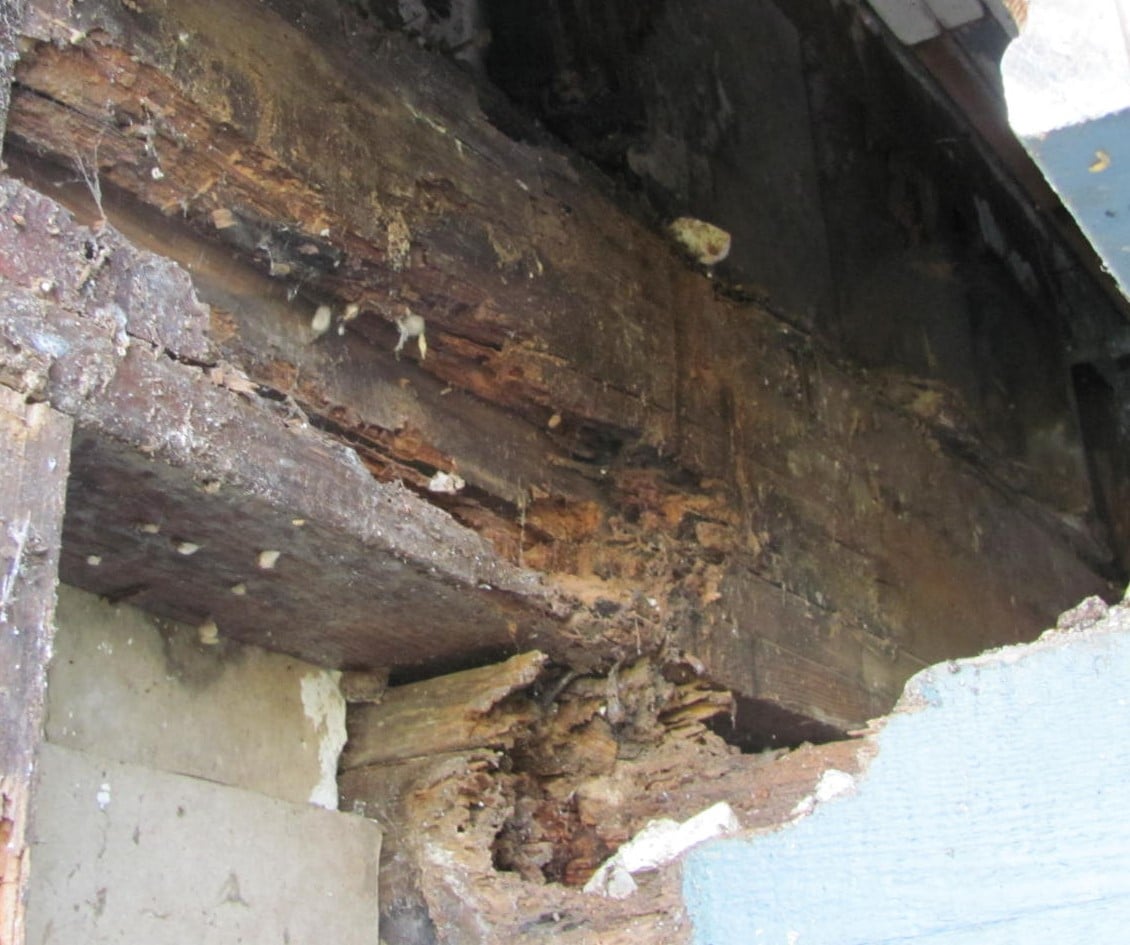 Is wood shrinkage causing drywall cracks and structural damage to your ...